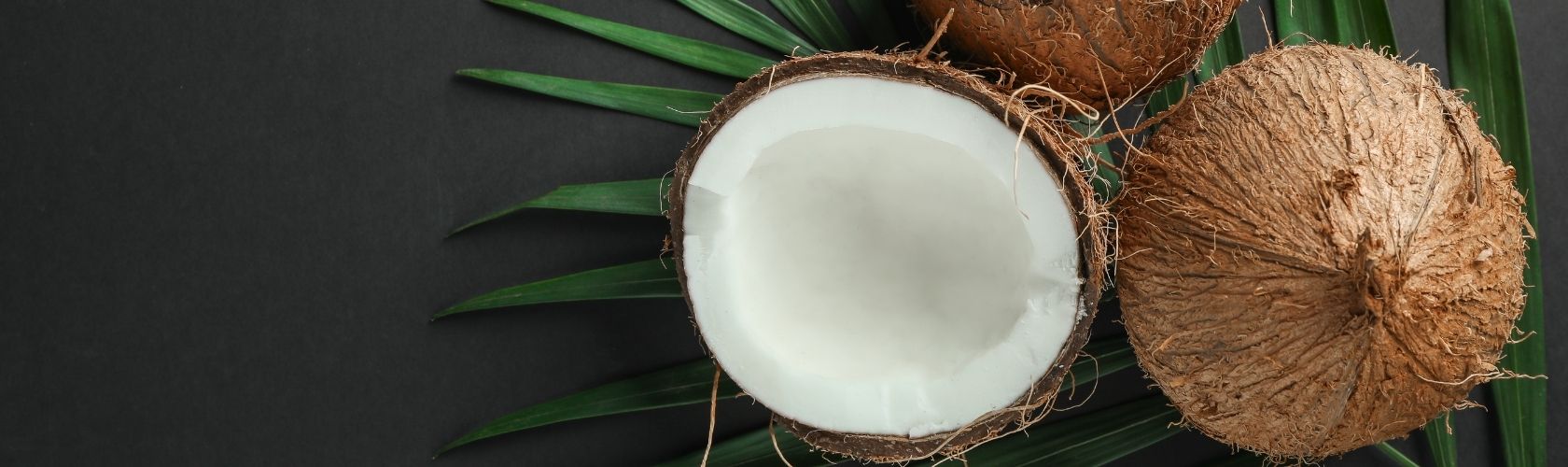 Coconut Ingredients - American International Foods, Inc.