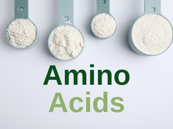Amino Acids: Enhancing Nutritional Value, Flavor, and Shelf Life ...