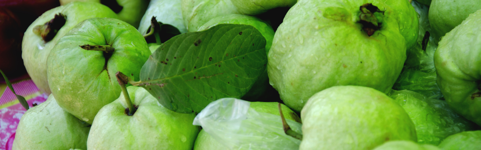 White Guava Puree - American International Foods, Inc.