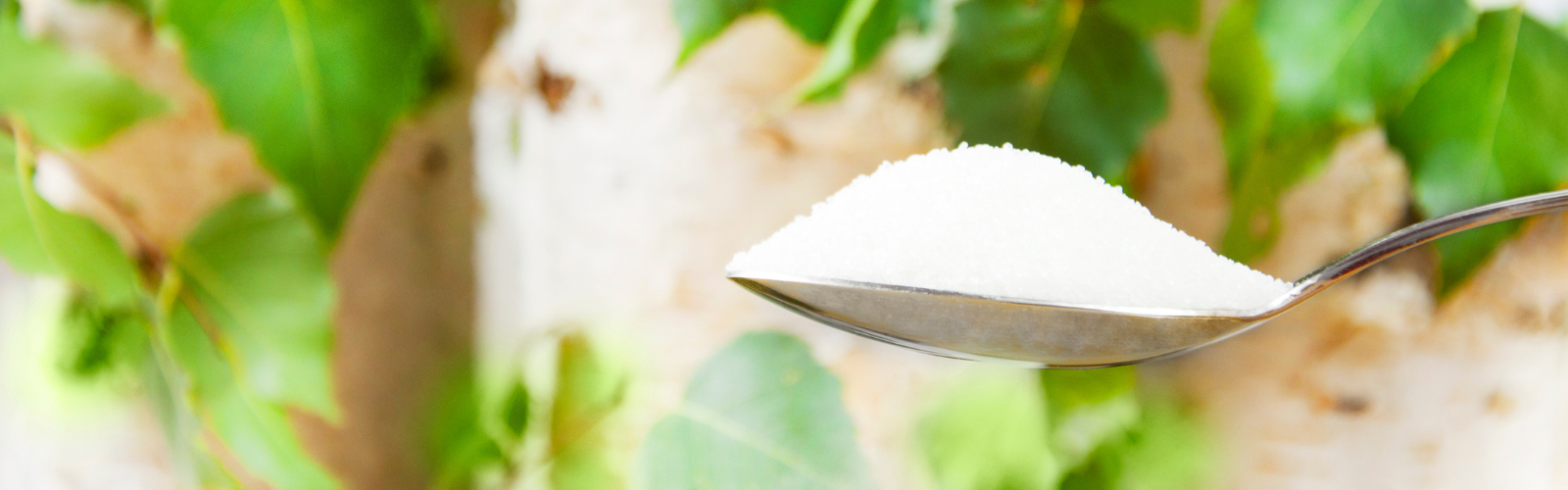 Xylitol - American International Foods, Inc.