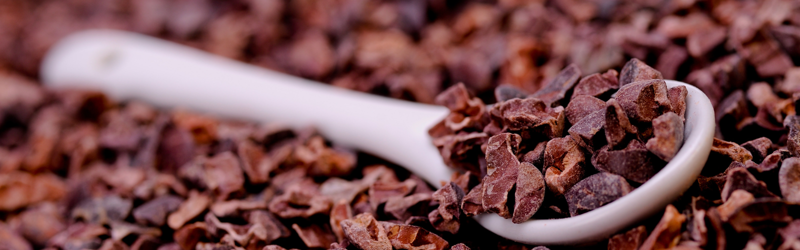 Cocoa Nibs - American International Foods, Inc.