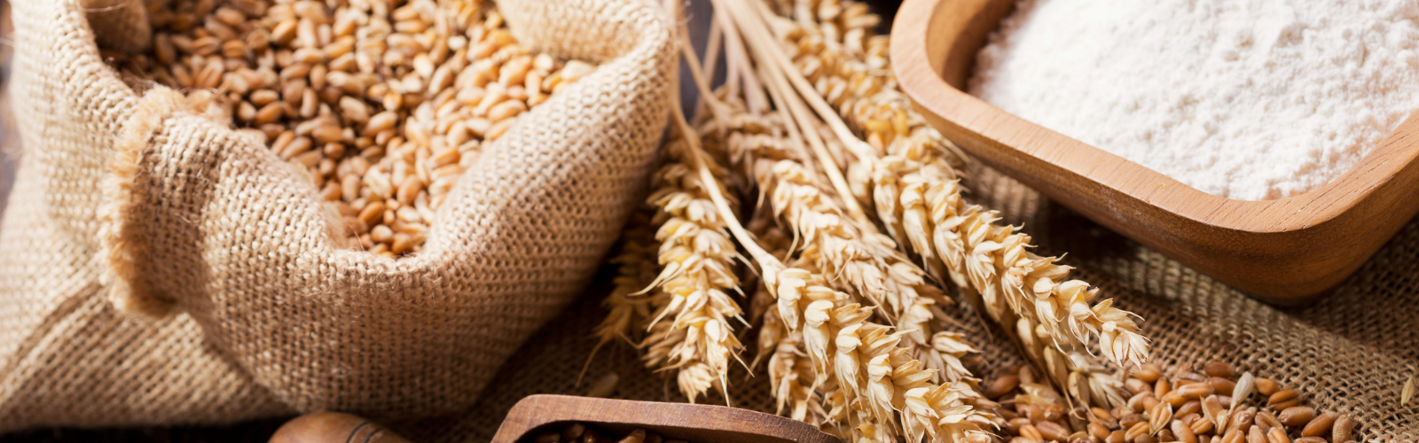 Wheat Bran - American International Foods, Inc.