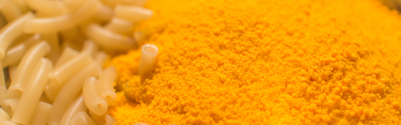 Cheese Powders - American International Foods, Inc.