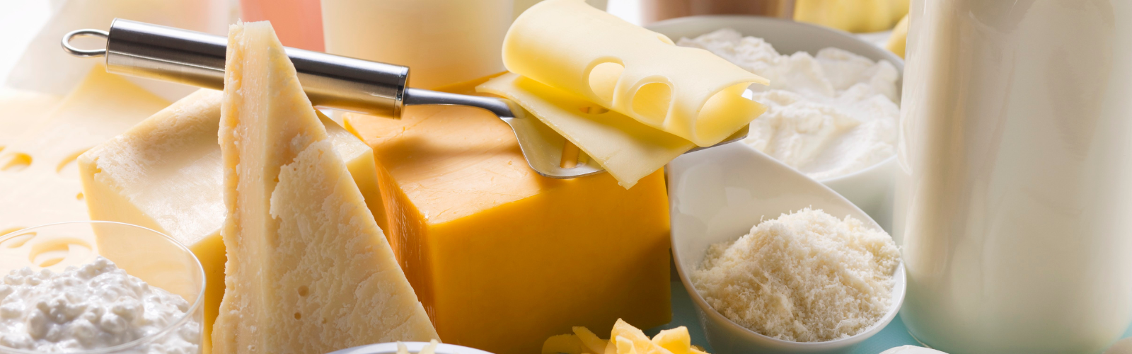Dairy Ingredients - American International Foods, Inc.