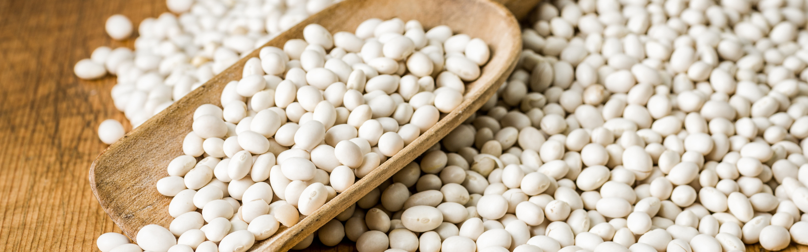Navy Bean Flour - American International Foods, Inc.